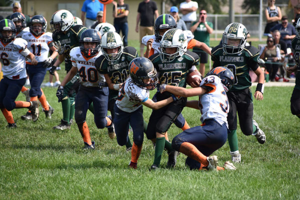 Photo Gallery – Rams – Wheaton Park District Athletic Leagues